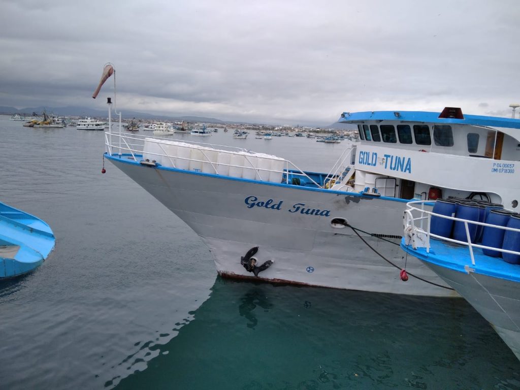 Gold Tuna - Grupo Buitrago
